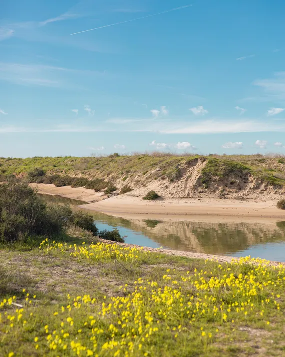 Destination - White Shell | Destination and Experience